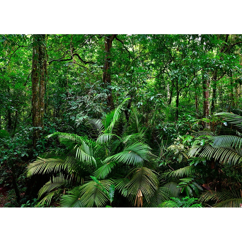 Tropical Forest Green Trees Plants Leaves Vinyl Photography Backdrops ...