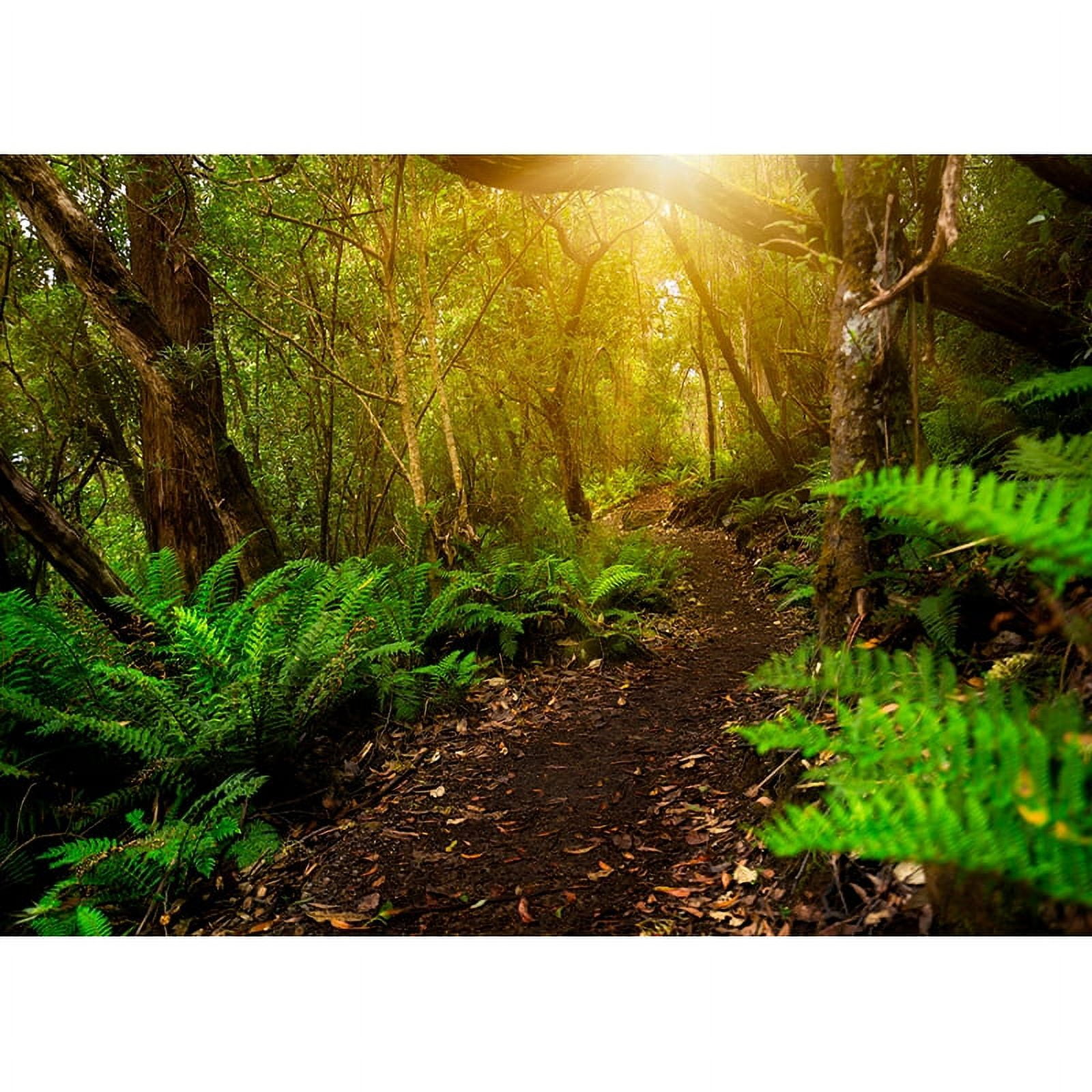 Tropical Forest Green Trees Plants Leaves Vinyl Photography Backdrops ...