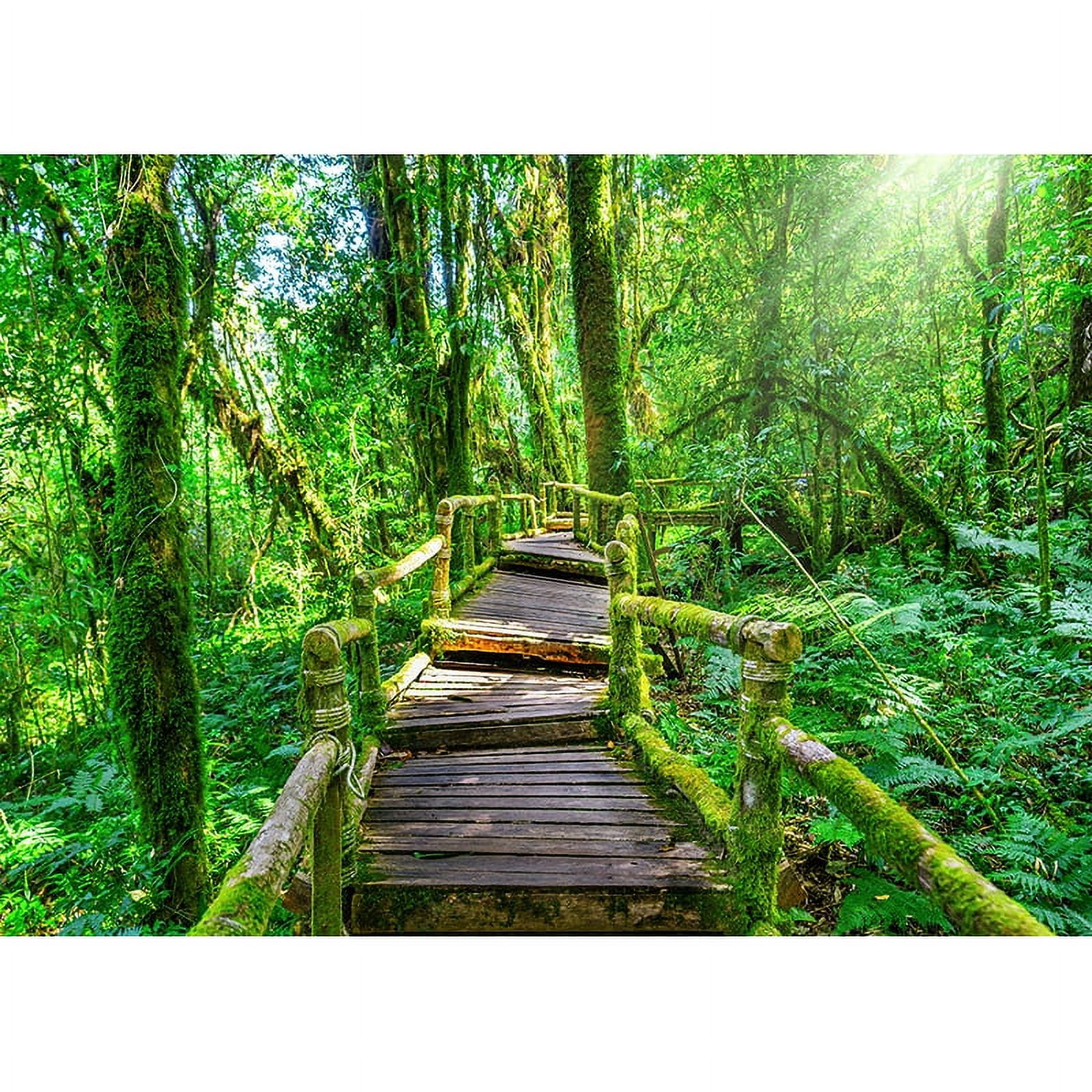Tropical Forest Green Trees Plants Leaves Vinyl Photography Backdrops ...