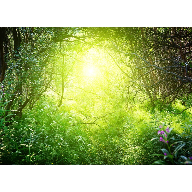 Tropical Forest Green Trees Plants Leaves Vinyl Photography Backdrops ...