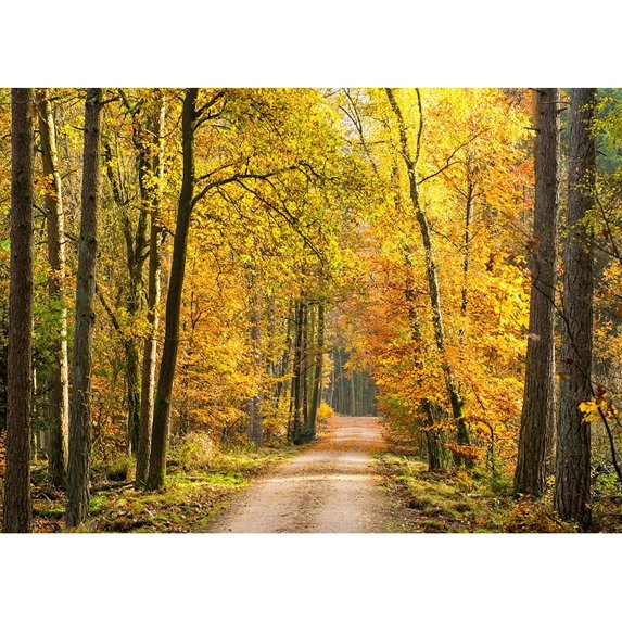 Tropical Forest Green Trees Plants Leaves Vinyl Photography Backdrops ...