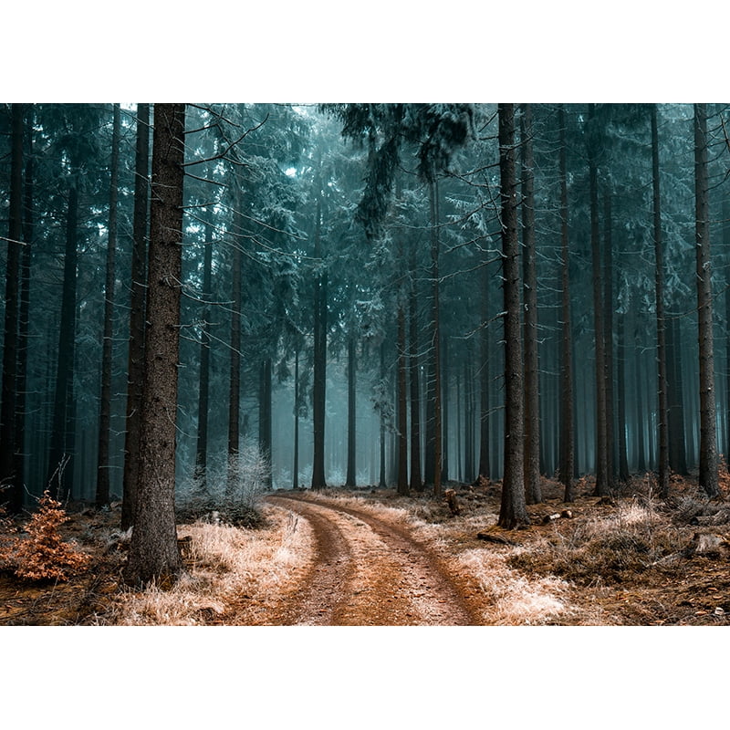 Tropical Forest Green Trees Plants Leaves Vinyl Photography Backdrops ...