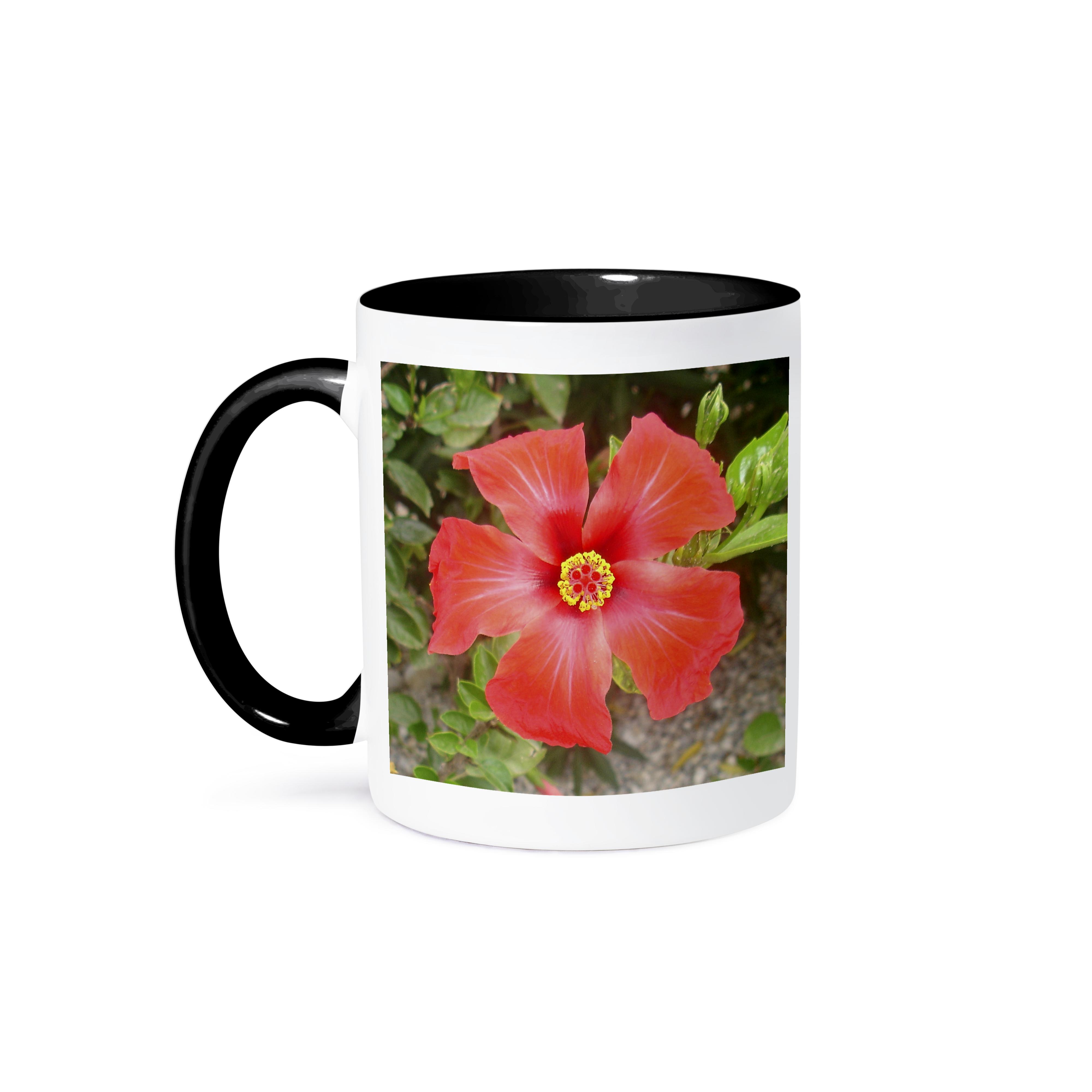 Tropical Hibiscus - Bunga Raya, Flower, Flowers, Hibiscus, Hibiscus ...
