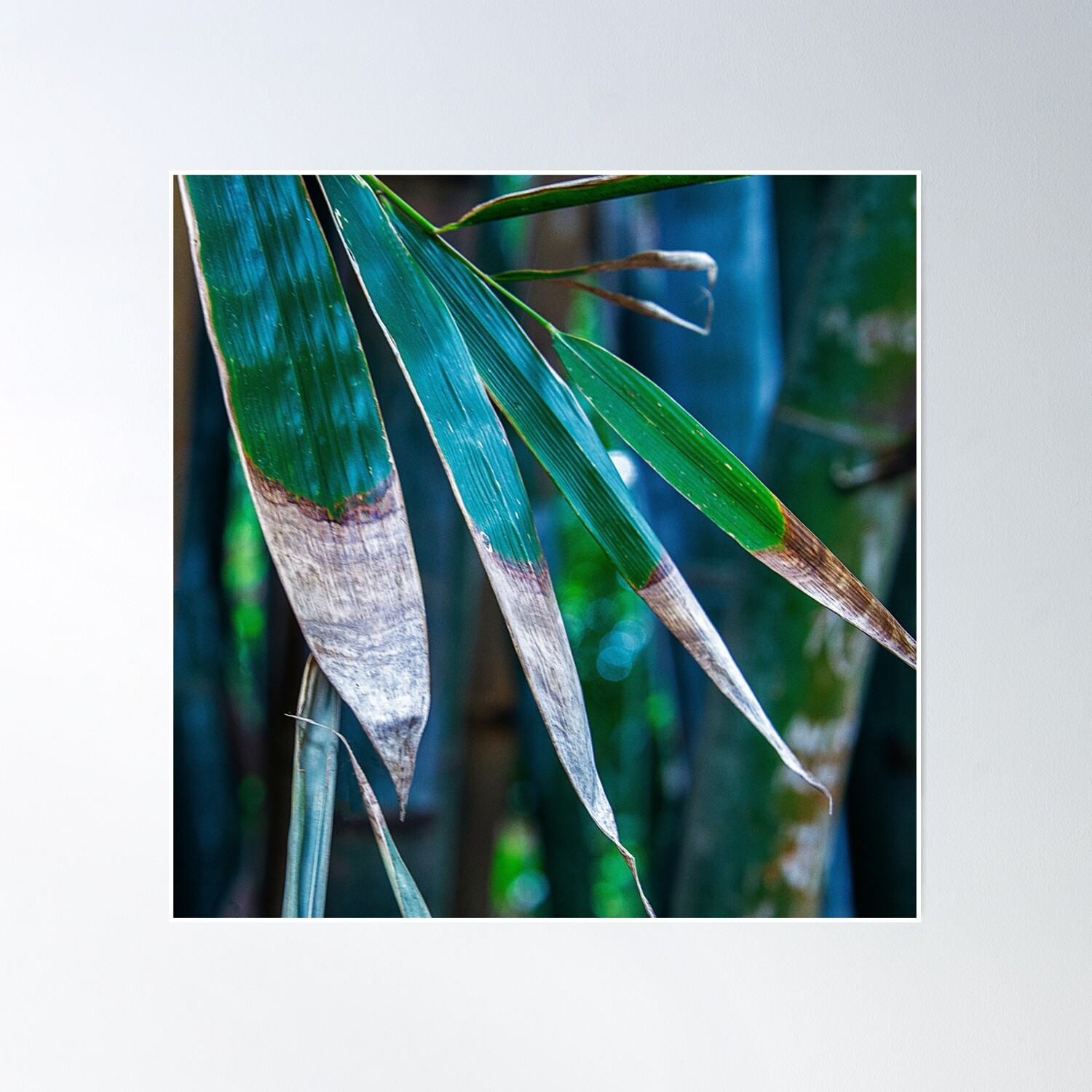 Tropical Island Leaves Imperfectly Elegant Art Photo Poster Wall Art ...
