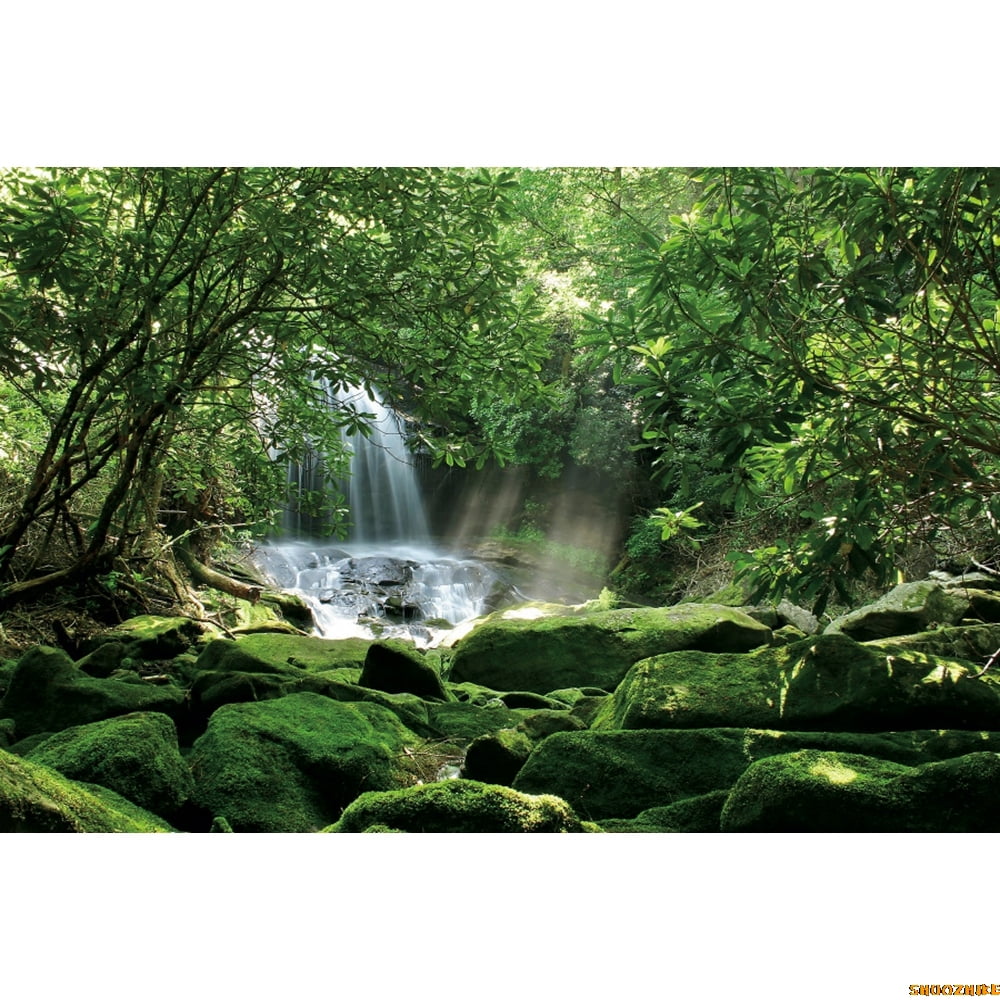 Tropical Jungle Gre Forest Backdrop for Photography Rainforest Natural ...