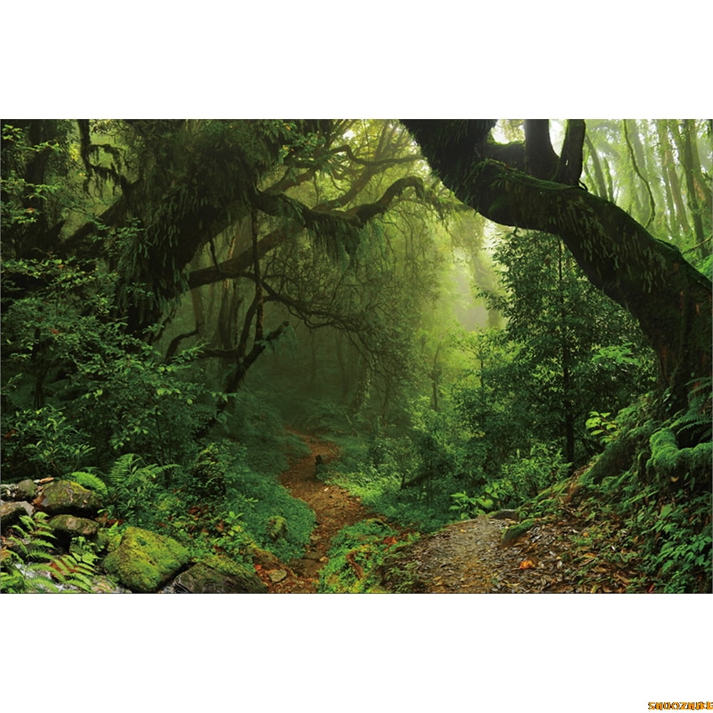Tropical Jungle Gre Forest Backdrop for Photography Rainforest Natural ...
