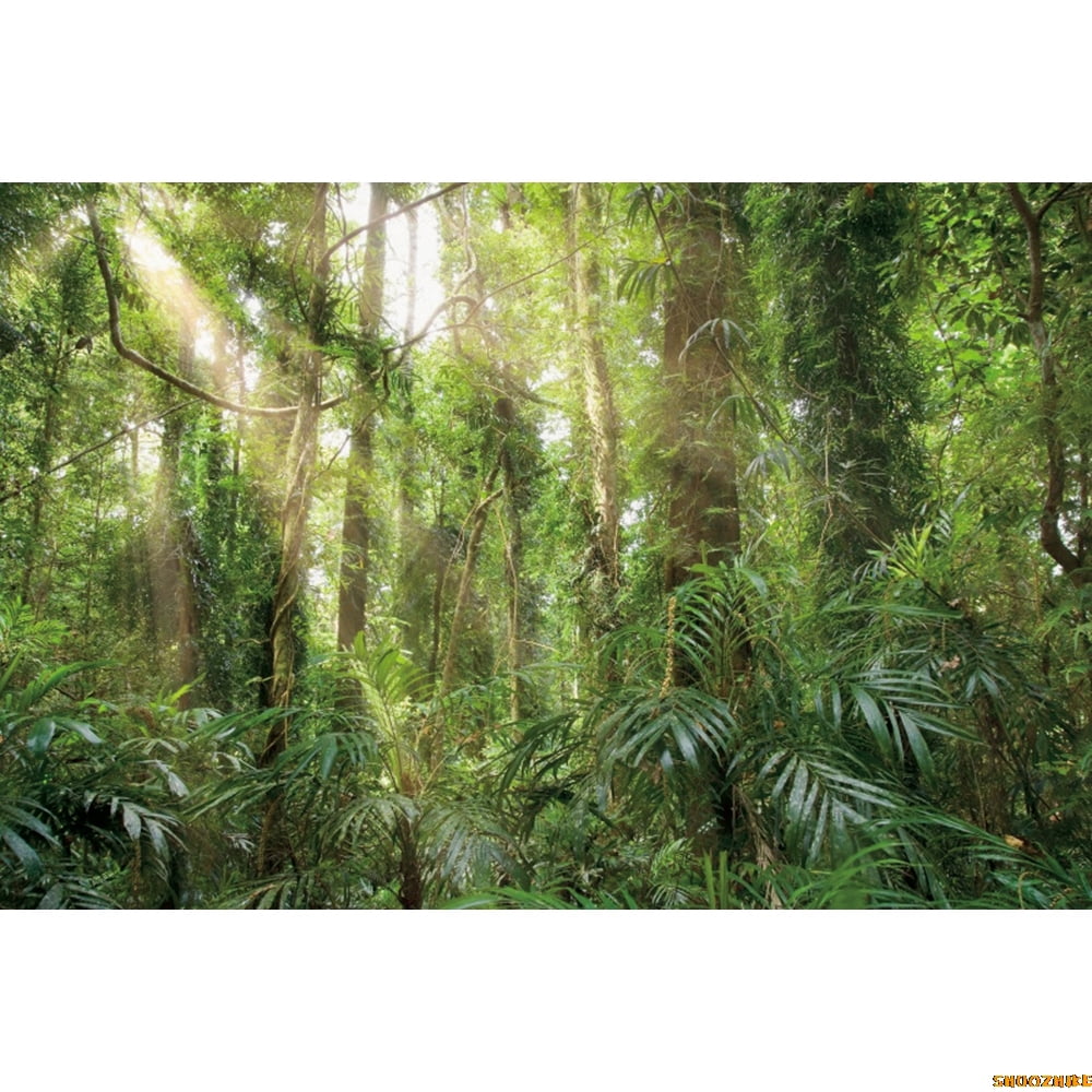 Tropical Jungle Gre Forest Backdrop for Photography Rainforest Natural ...