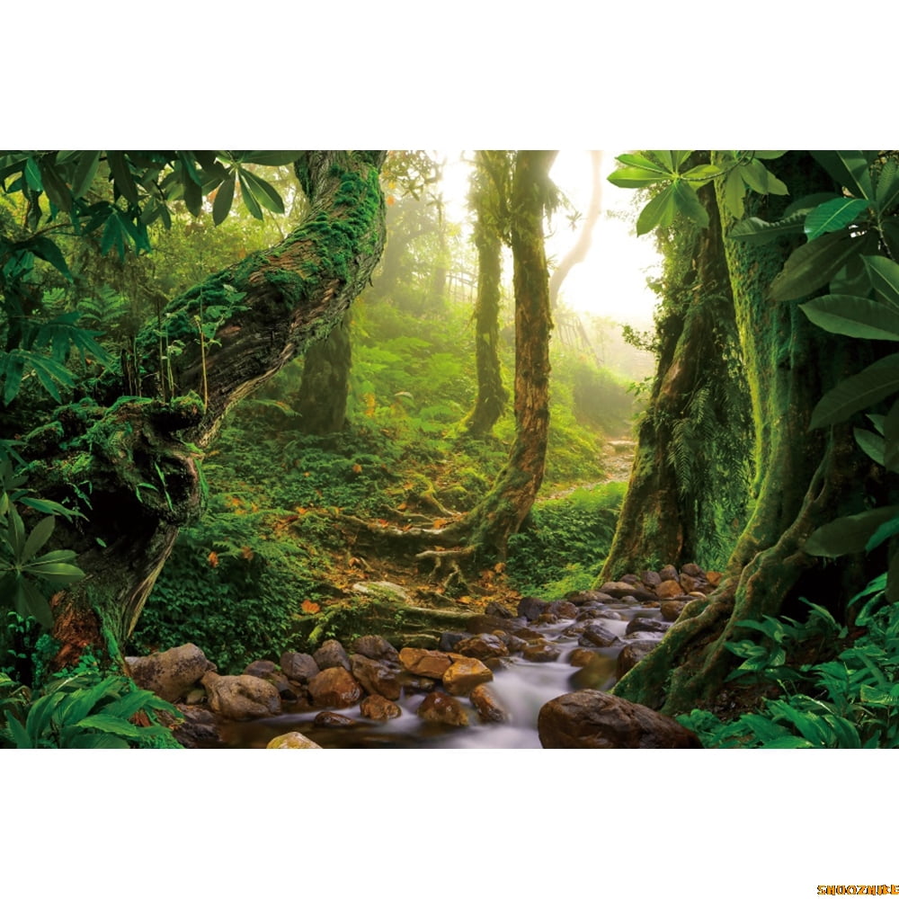 Tropical Jungle Gre Forest Backdrop for Photography Rainforest Natural ...