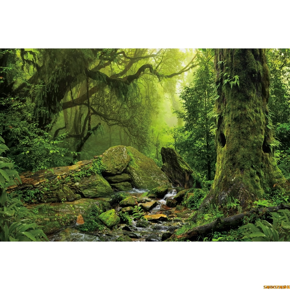 Tropical Jungle Gre Forest Backdrop for Photography Rainforest Natural ...