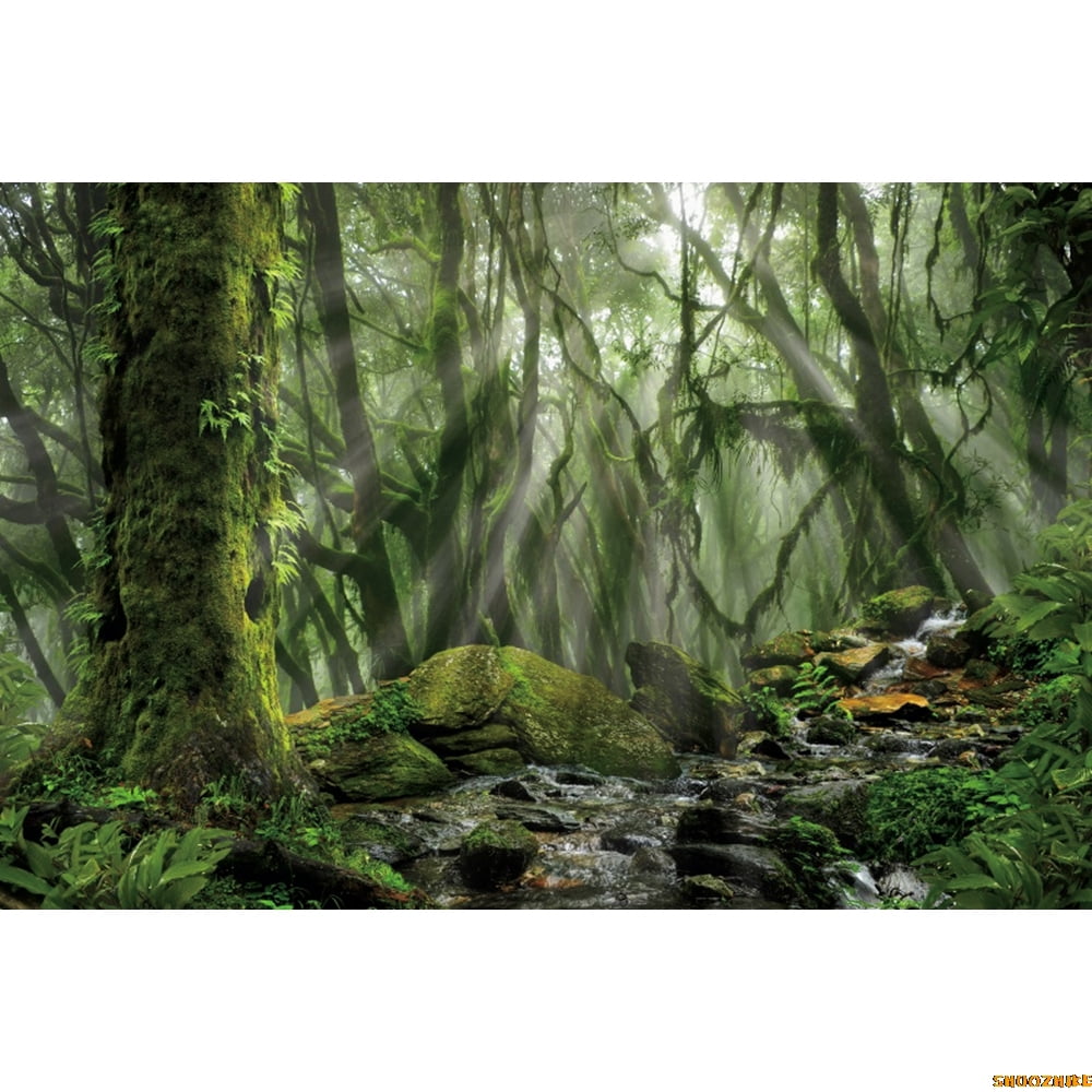 Tropical Jungle Gre Forest Backdrop for Photography Rainforest Natural ...
