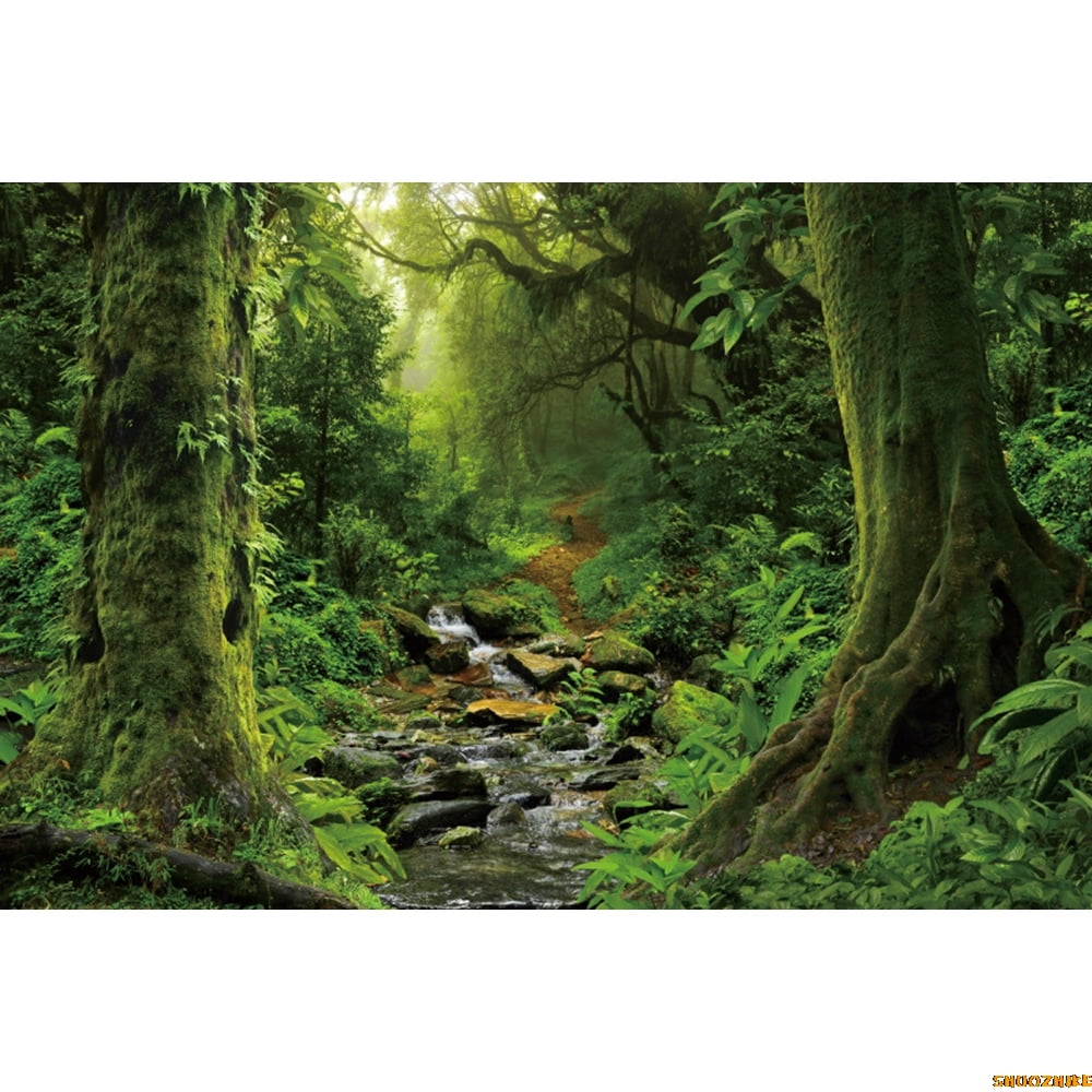 Tropical Jungle Gre Forest Backdrop for Photography Rainforest Natural ...