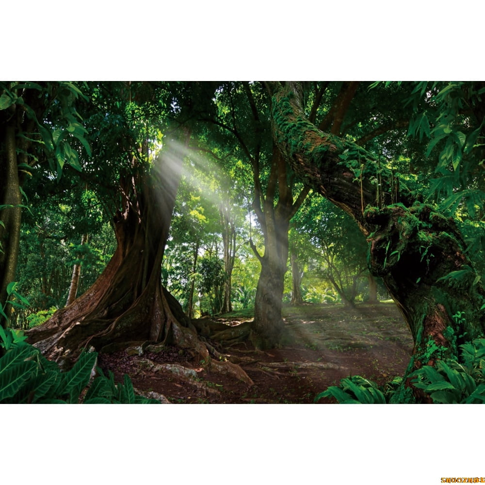 Tropical Jungle Gre Forest Backdrop for Photography Rainforest Natural ...