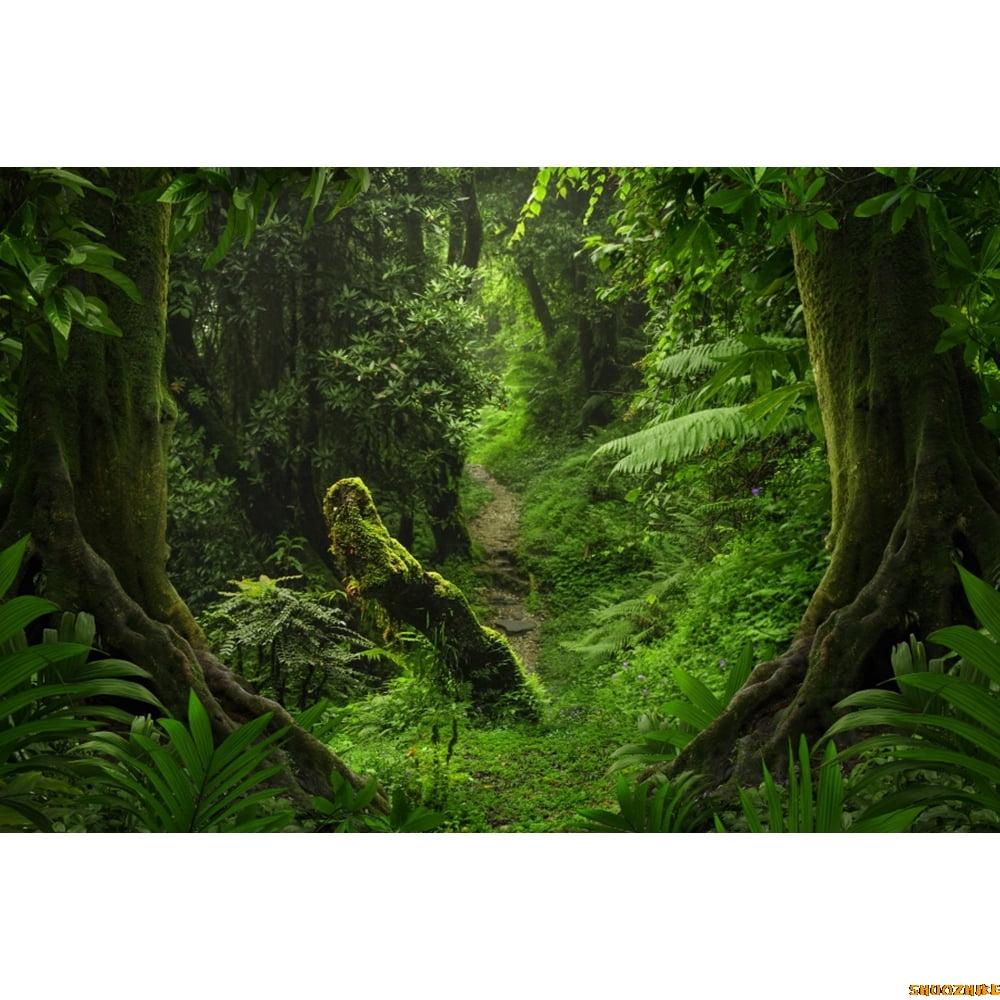 Tropical Jungle Gre Forest Backdrop for Photography Rainforest Natural ...