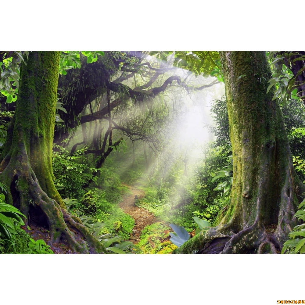 Tropical Jungle Gre Forest Backdrop for Photography Rainforest Natural ...