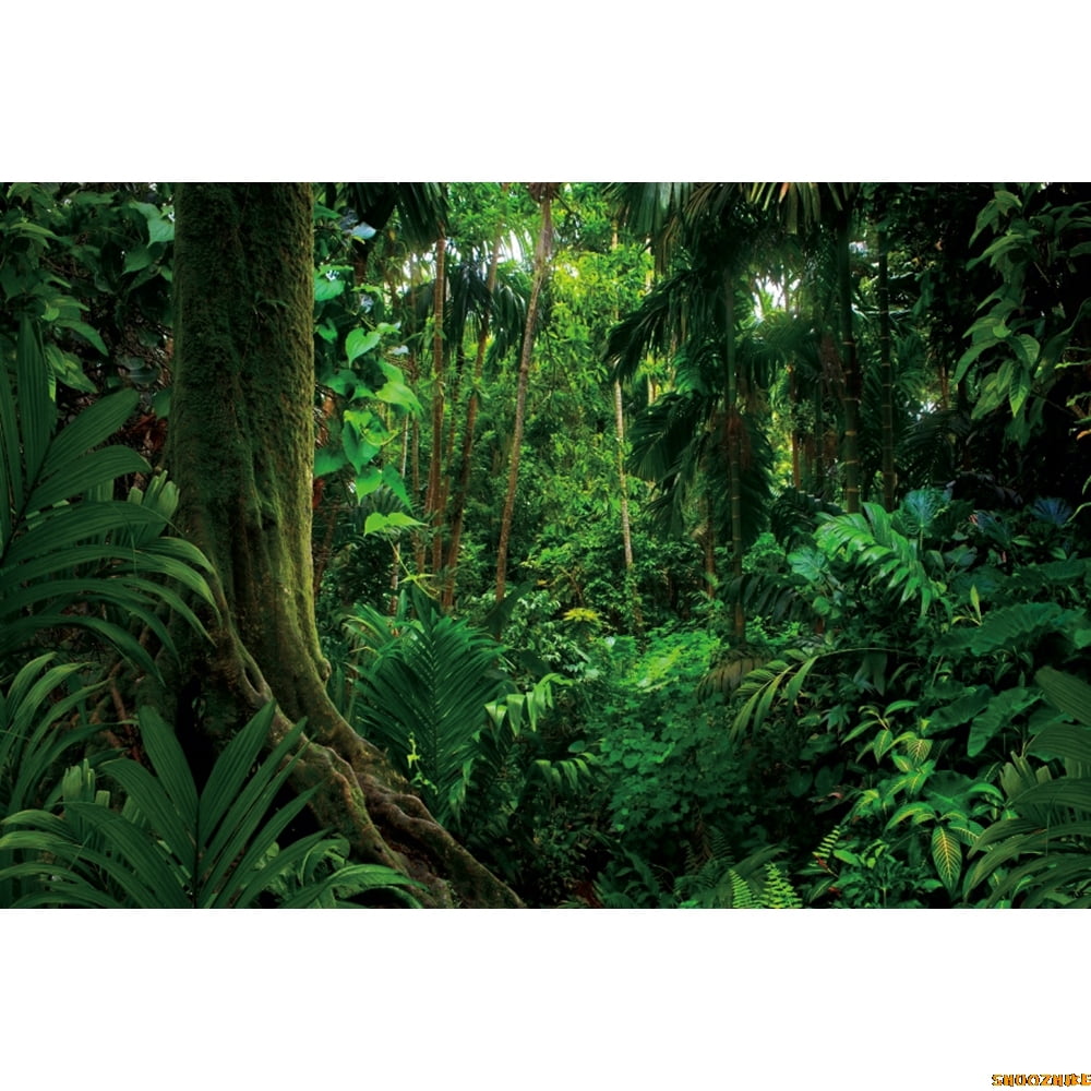 Tropical Jungle Gre Forest Backdrop for Photography Rainforest Natural ...
