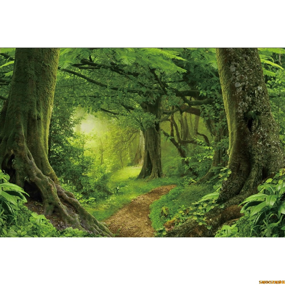 Tropical Jungle Gre Forest Backdrop for Photography Rainforest Natural ...