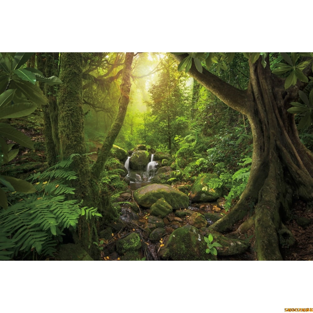 Tropical Jungle Gre Forest Backdrop for Photography Rainforest Natural ...