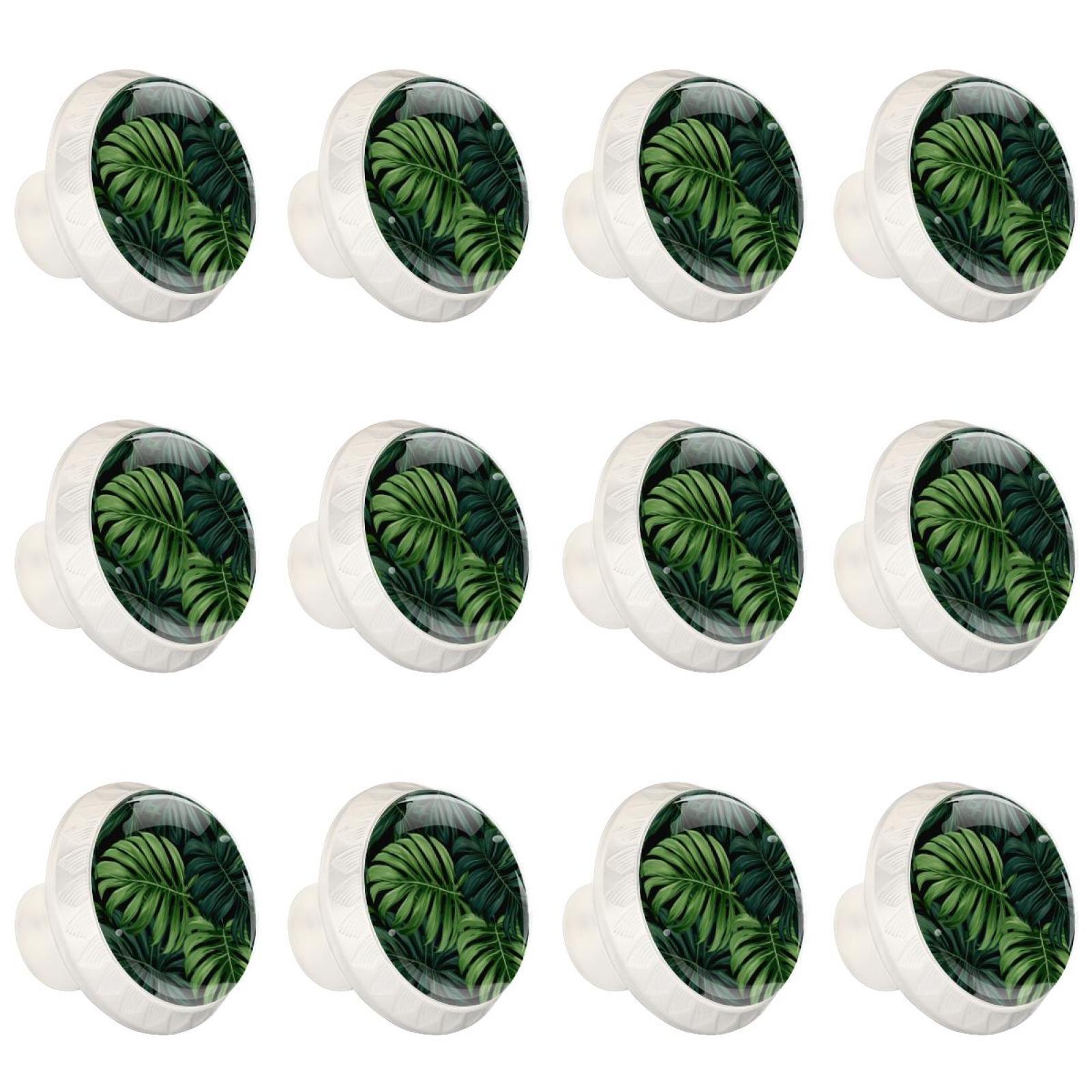 Tropical Jungle Palm Leaf 12 Pcs White Round Drawer Pulls with Screws ...