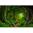 Tropical Jungle Rainforest Footpath Landscape Photo Poster Poster ...