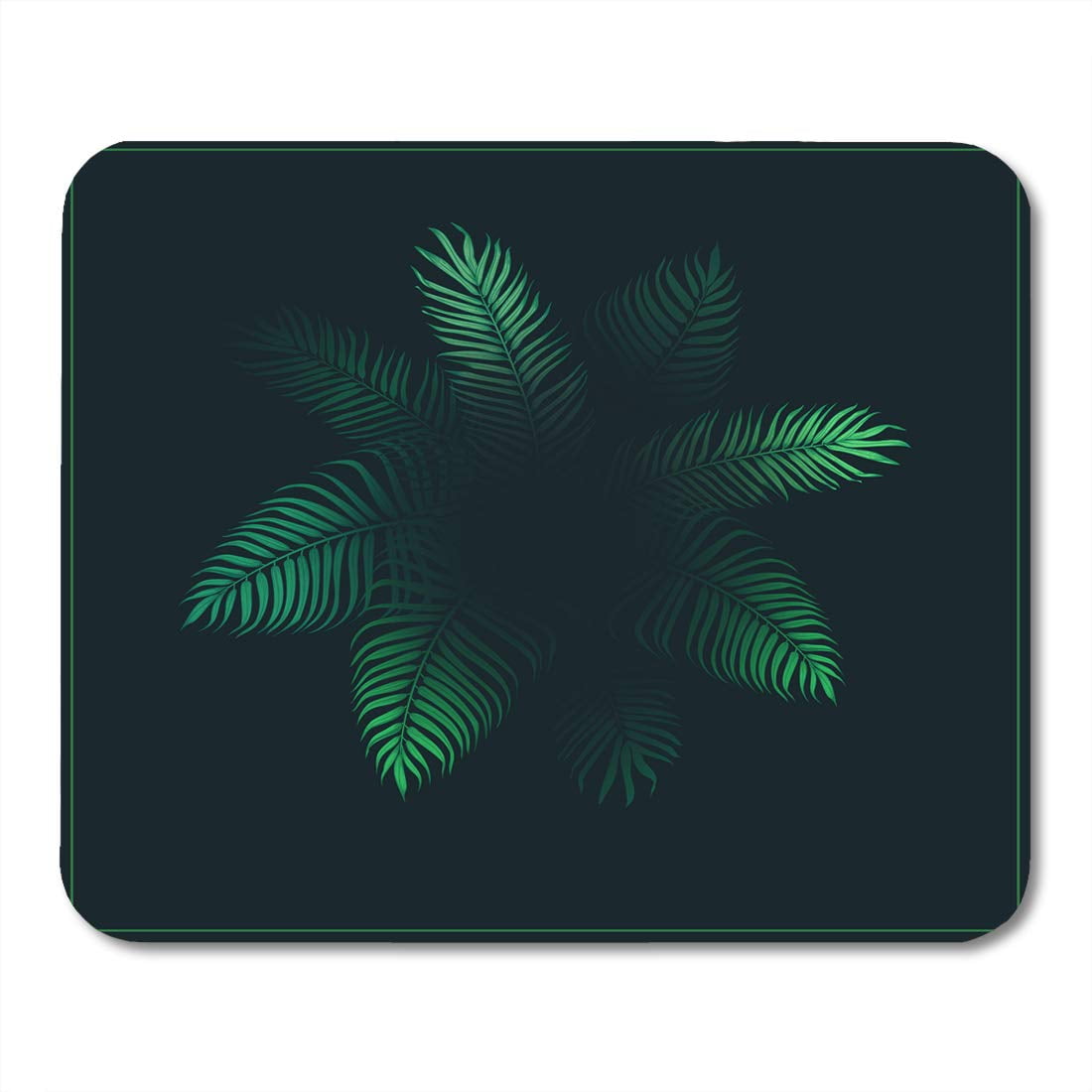 Tropical Leaves Exotic Tree Foliage Green Palm Leaf and Text on Jungle ...