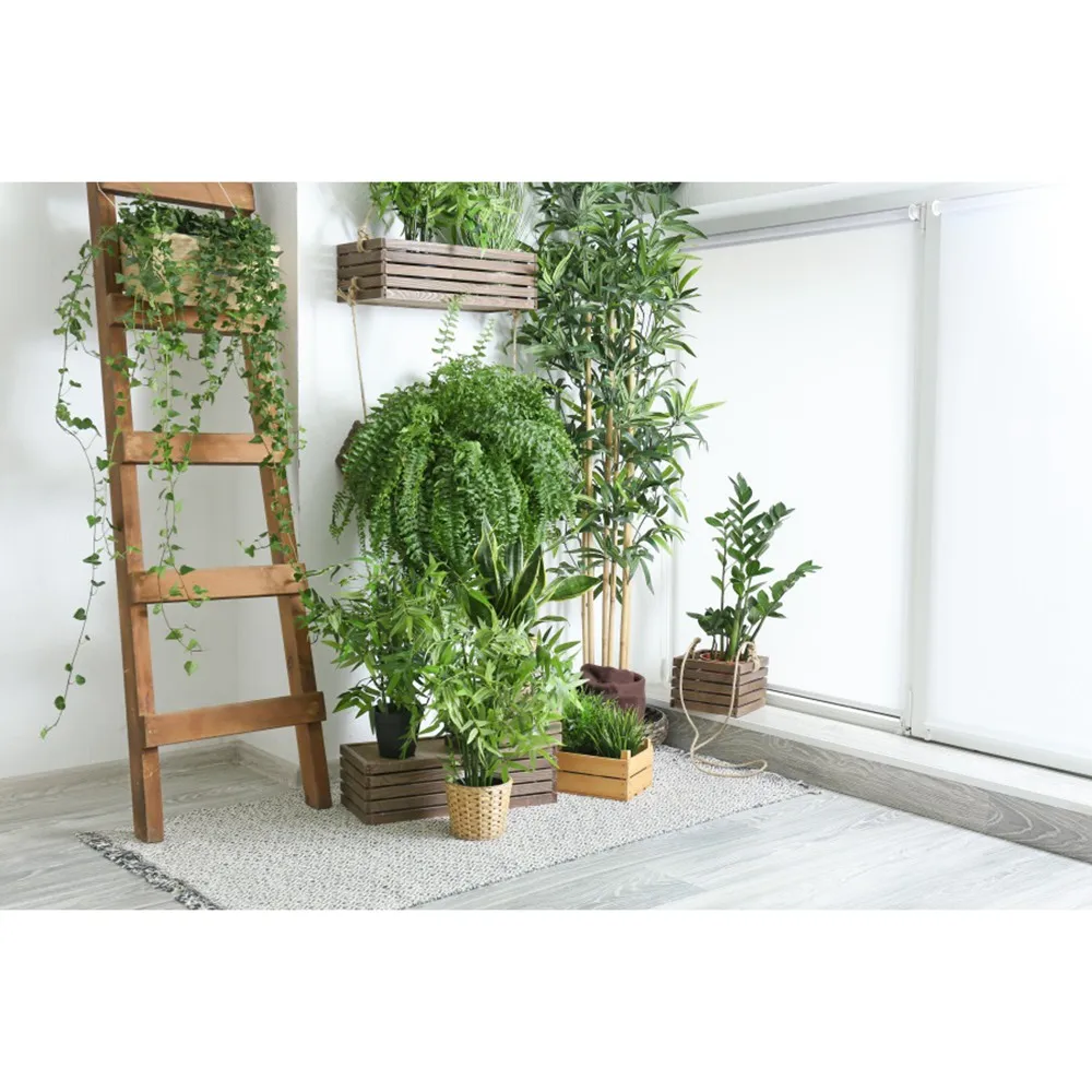 Tropical Living Room Backdrop Photography Spring Grass Wallpaper ...