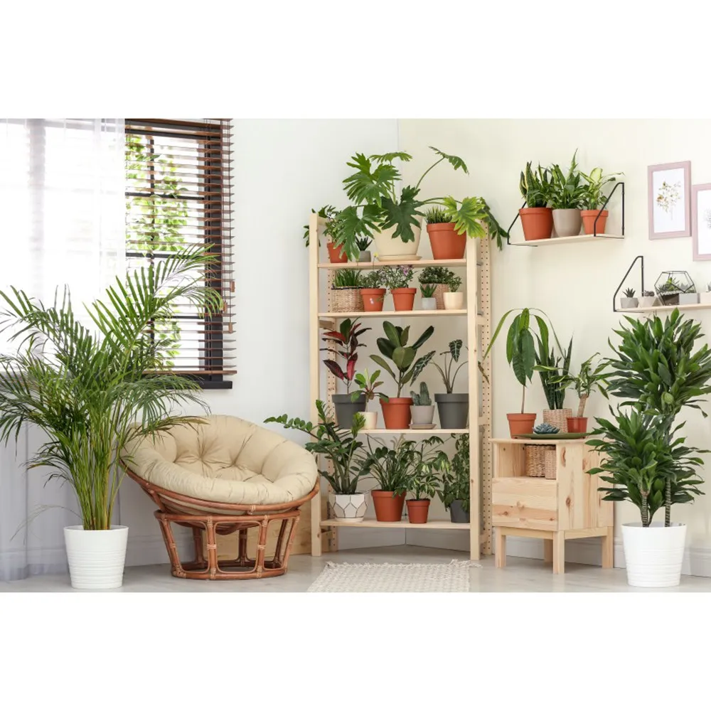 Tropical Living Room Backdrop Photography Spring Grass Wallpaper ...