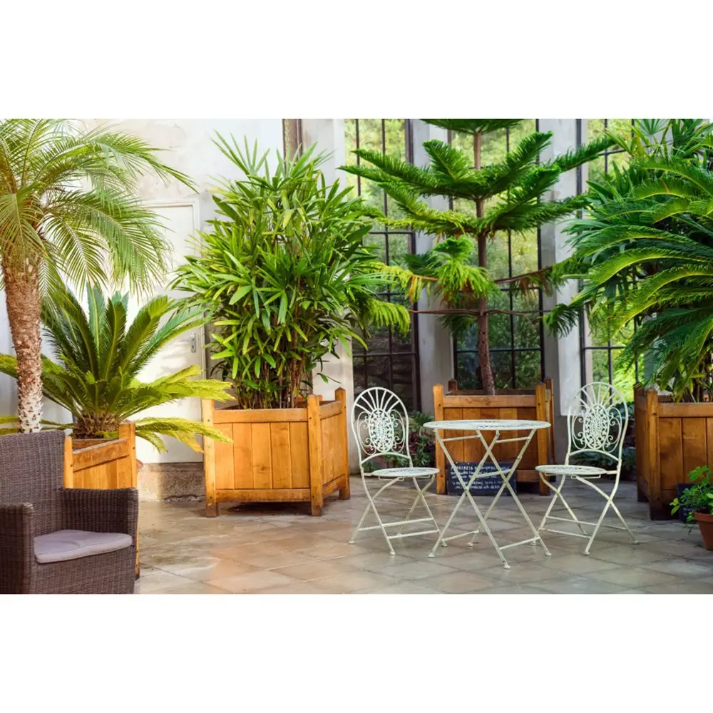 Tropical Living Room Backdrop Photography Spring Grass Wallpaper ...