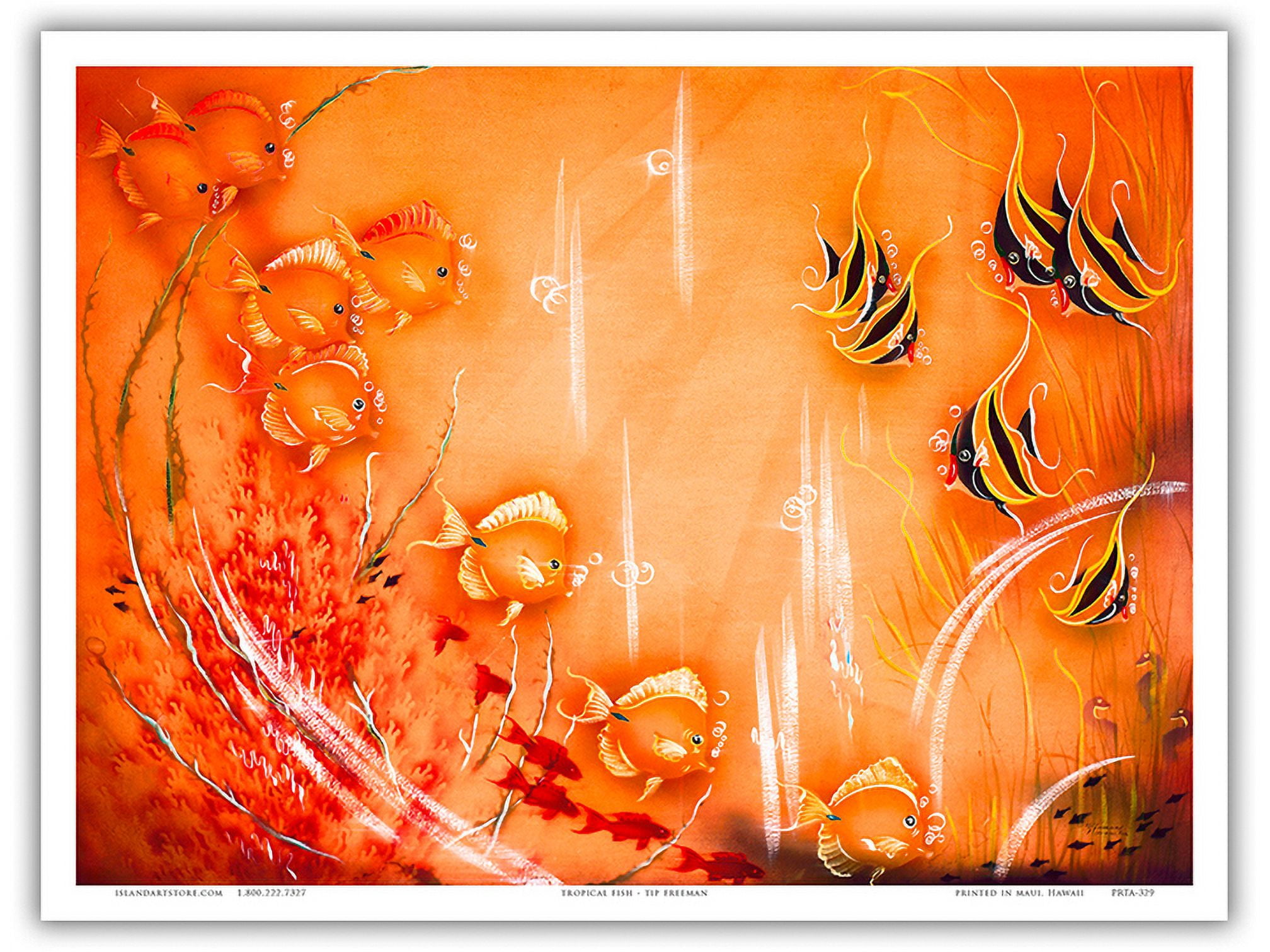 Tropical Moorish Fish Hawai’i - Vintage Hawaiian Airbrush Art by Tip ...