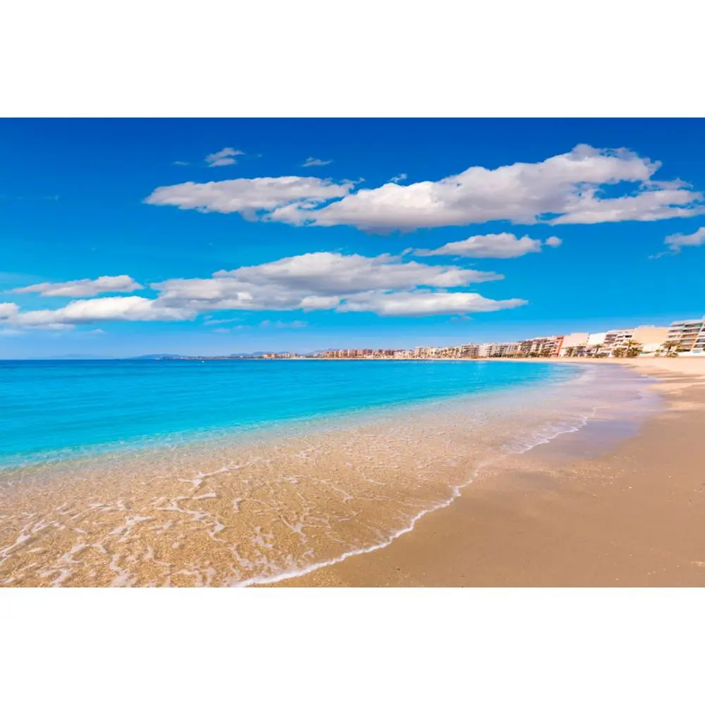 Tropical Ocean Beach Photography Backdrop Sunset Seaside Sands Waves ...