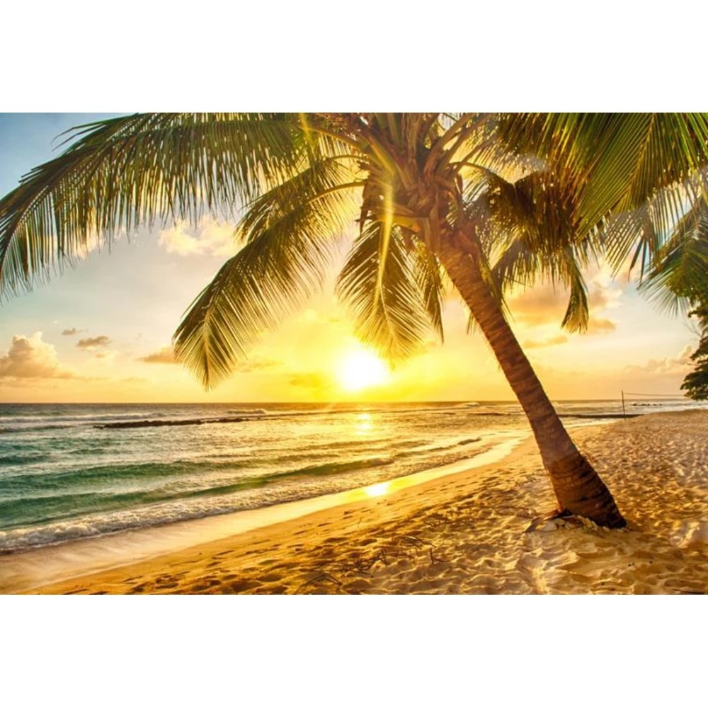 Tropical Ocean Beach Sand Backdrop Photography Summer Seaside Wedding ...