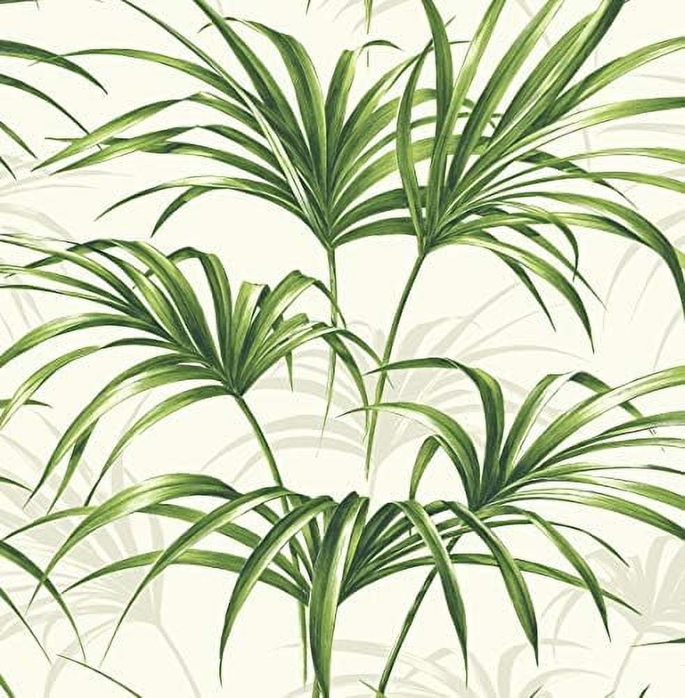 Tropical Palm Leaf Peel and Stick Wallpaper - Walmart.com