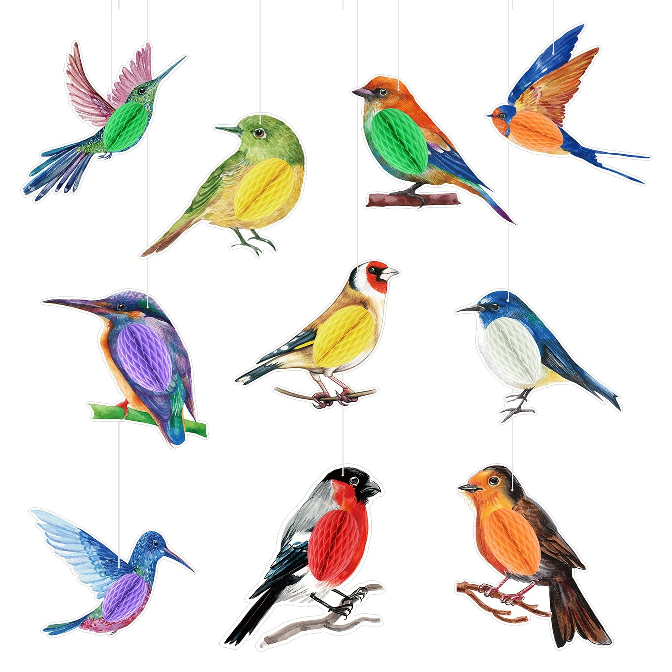 Tropical Paradise Bird Cutouts - 10 Vibrant Honeycomb Decorations for ...