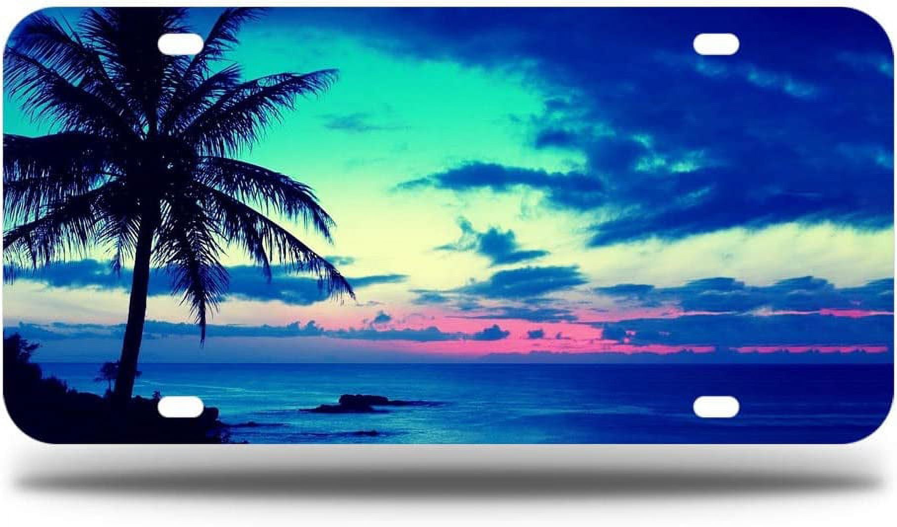 Tropical Paradise License Plate,Ocean Beach Scene with Palm Trees Car ...