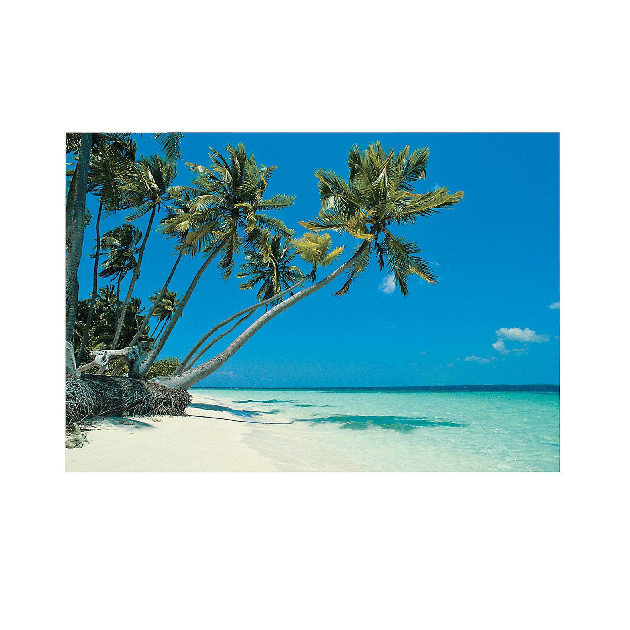 Tropical Paradise Party Backdrop Set - 3 Piece Wall Decor Kit for Beach ...