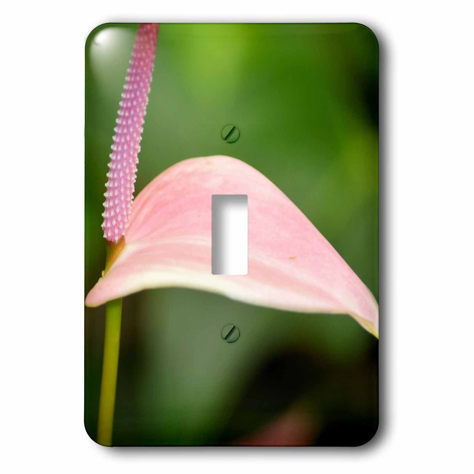 3dRose, Tropical Pink Anthurium Flower, single toggle switch - Walmart.com
