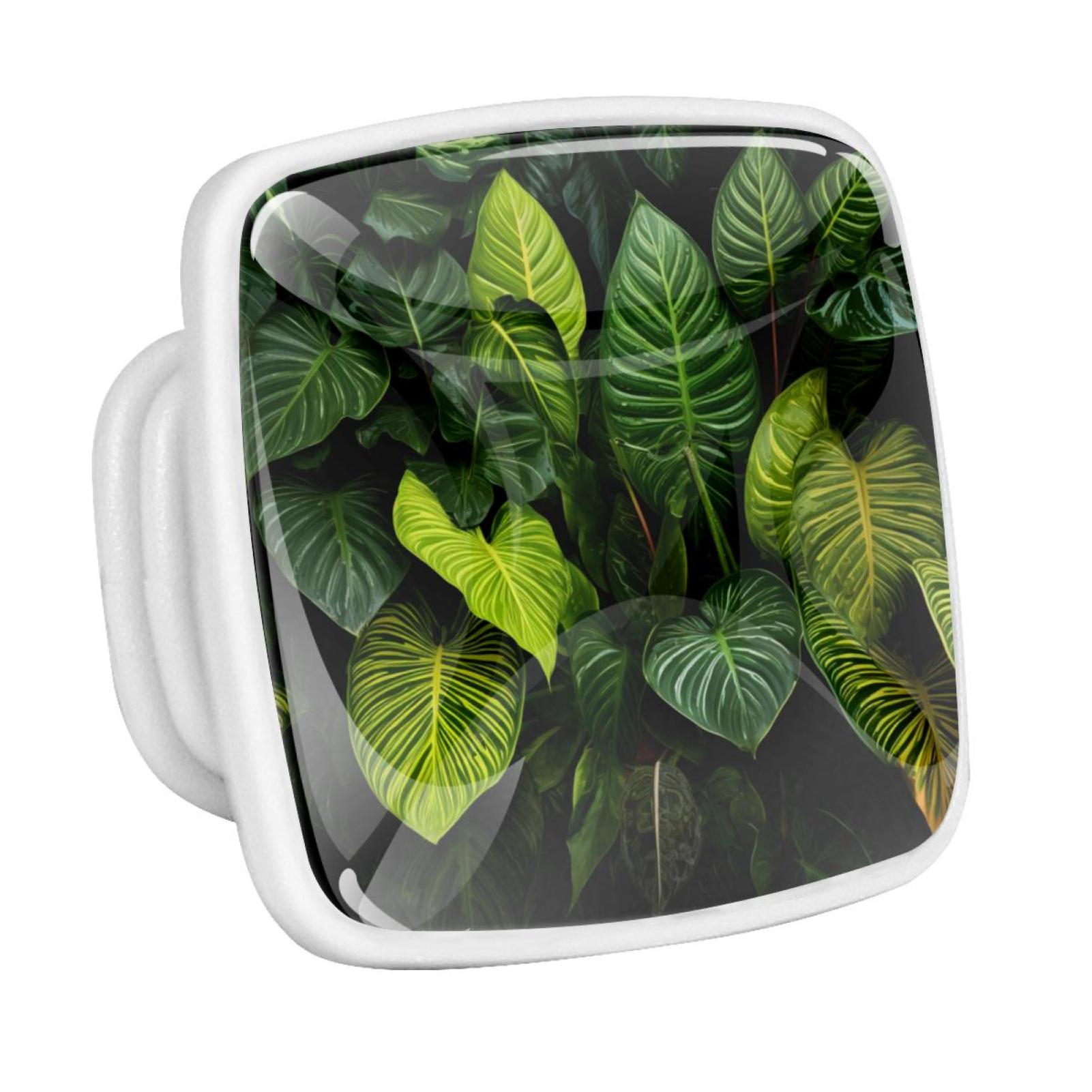 Tropical Plant Fluorescent Drawer Pulls with Screws Square 4-Pack Glow ...