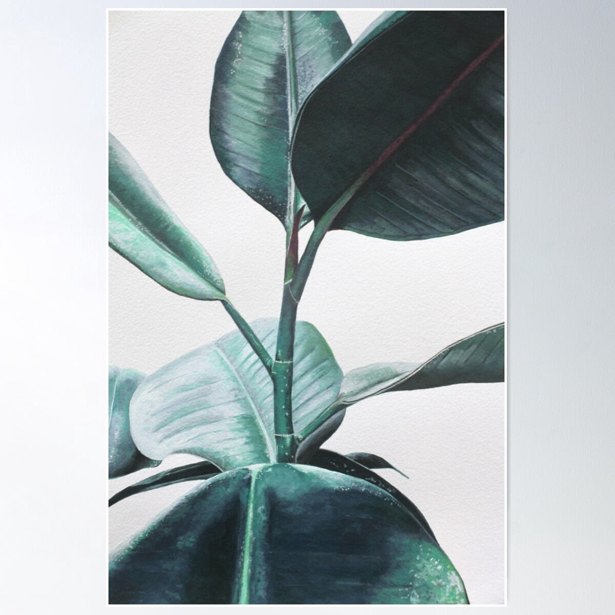 Tropical Plant Leaves, Botanical Leaf, Ficus Elastica Poster Wall Art ...