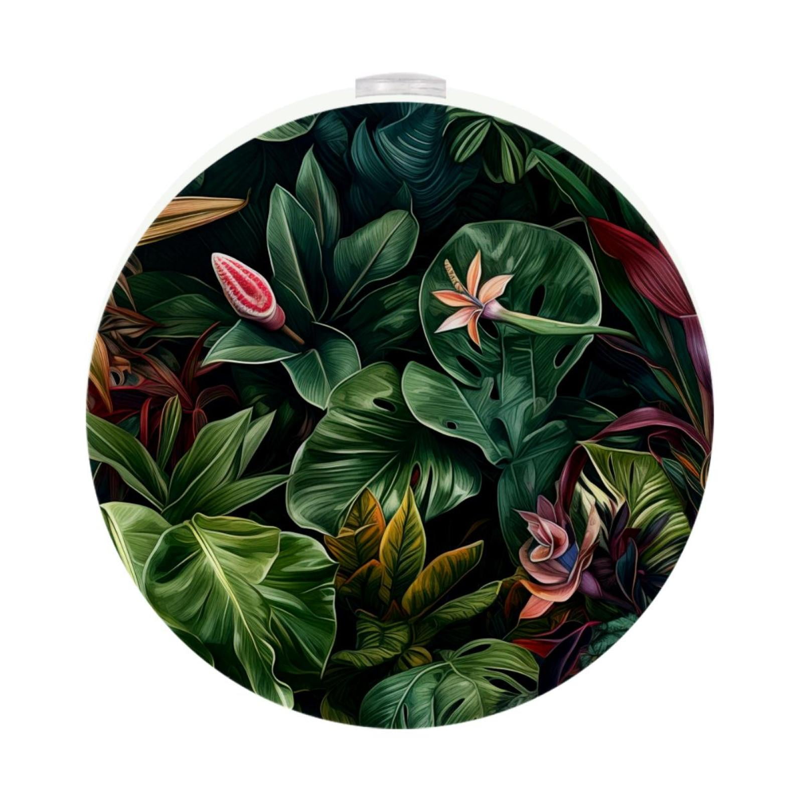 Tropical Plants Small LED Night Lights - Wall Light & Night Lights Set ...