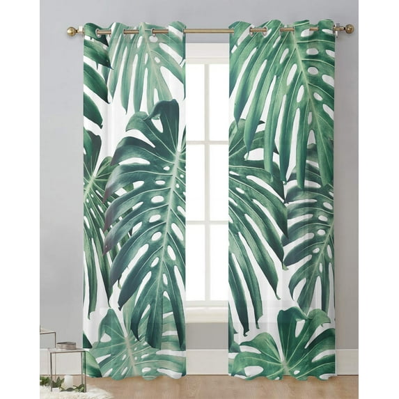 Tropical Plants a Palm Leaves Tulle Living Room ration Transparent ...