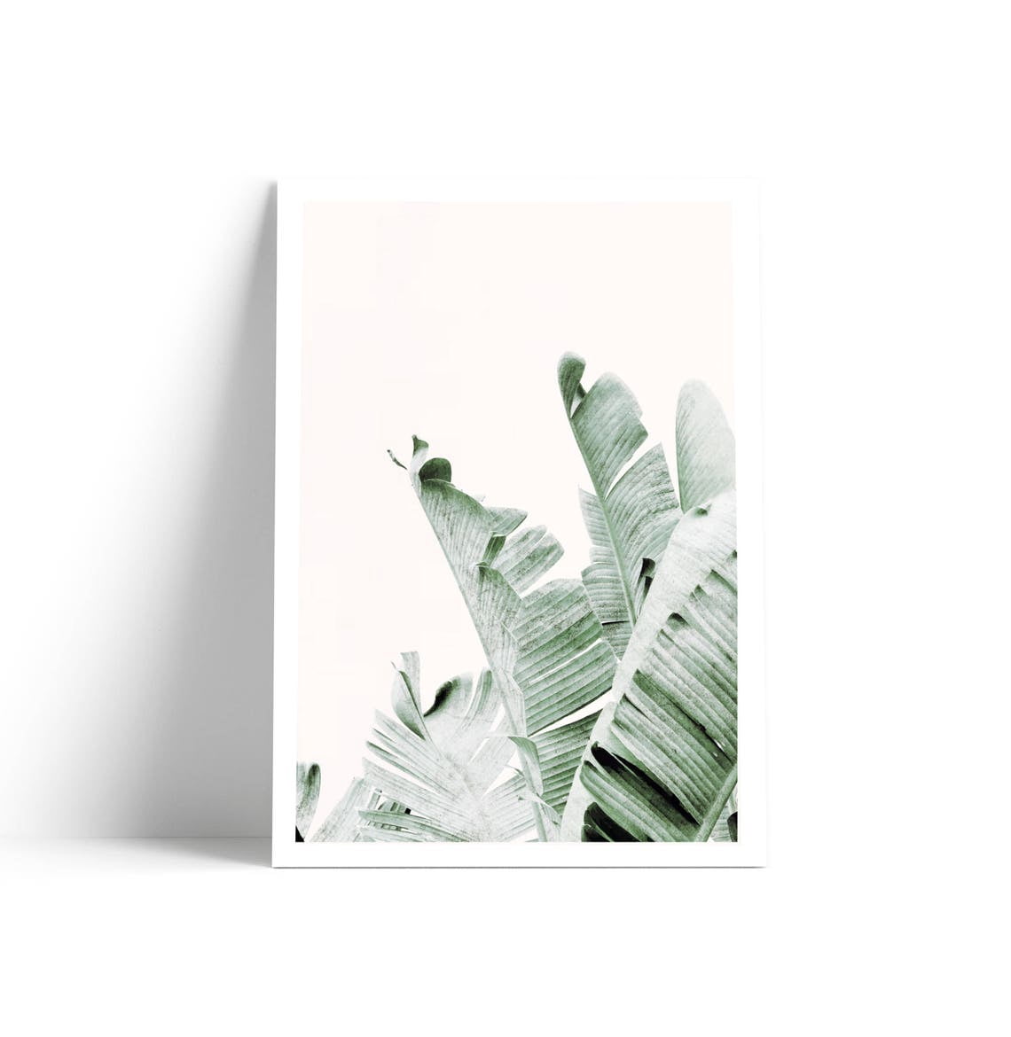 Tropical Poster, Banana Leaves Poster, Green Leaves Poster, Palm Leaf ...
