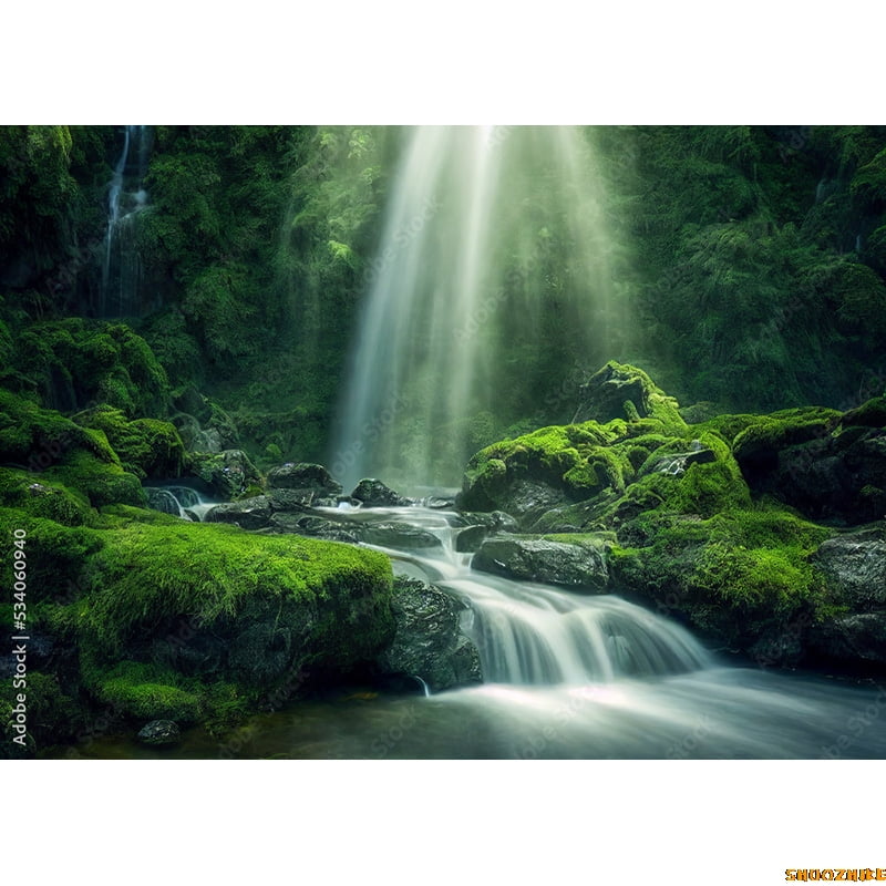 Tropical Rainforest Coniferous Forest Moss Fall Tree Photography ...