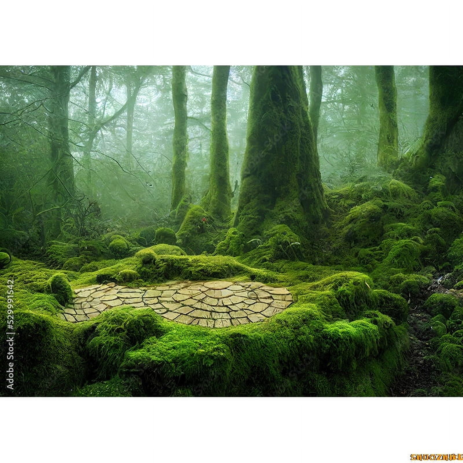 Tropical Rainforest Coniferous Forest Moss Fall Tree Photography Backdrops Prop Jungle Nature ...