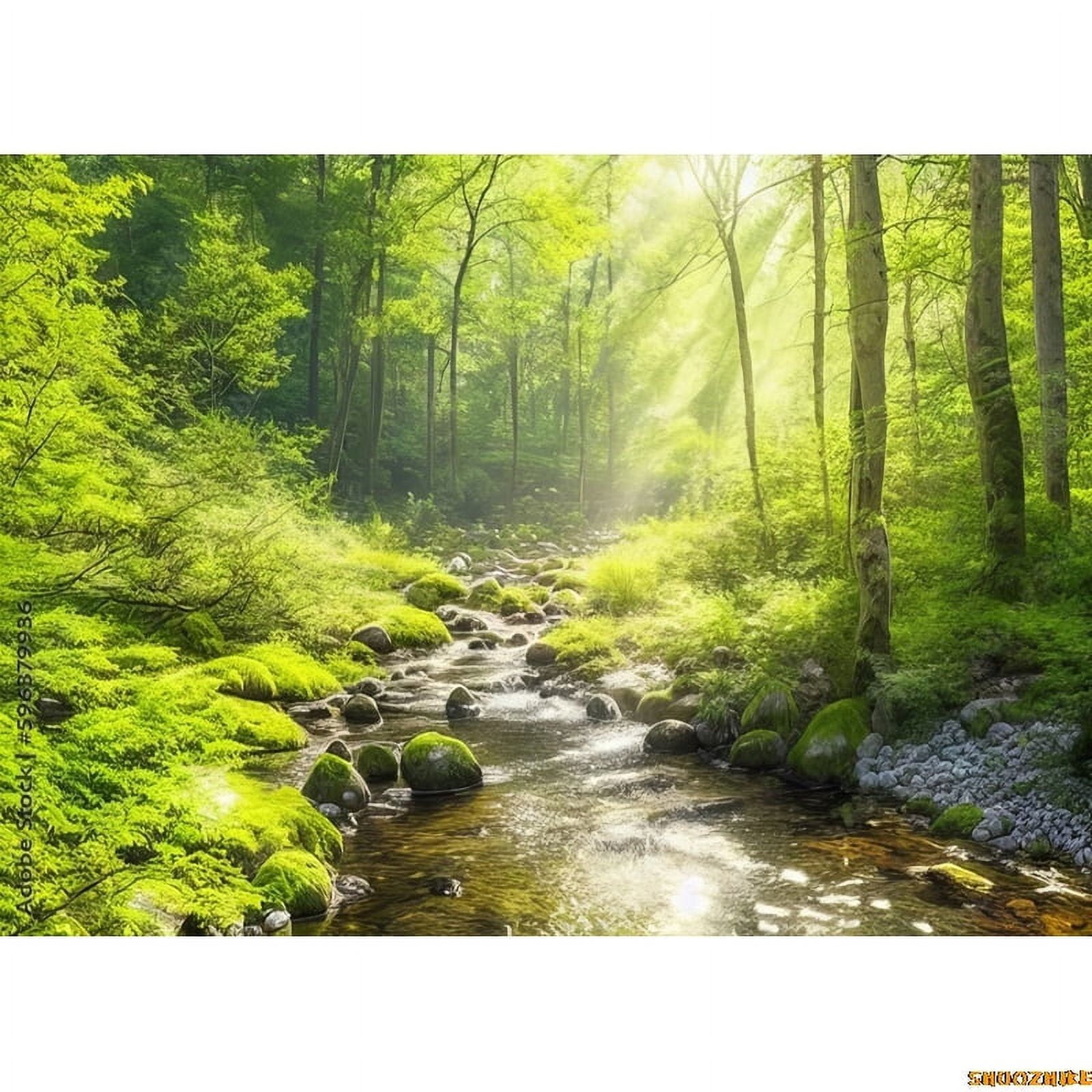 Tropical Rainforest Coniferous Forest Moss Fall Tree Photography ...