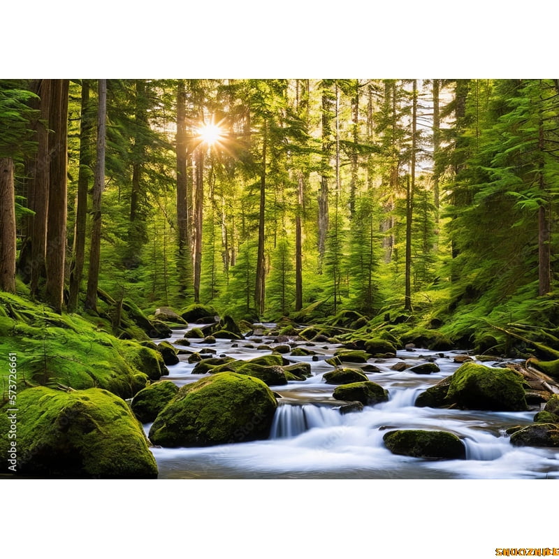 Tropical Rainforest Coniferous Forest Moss Fall Tree Photography ...