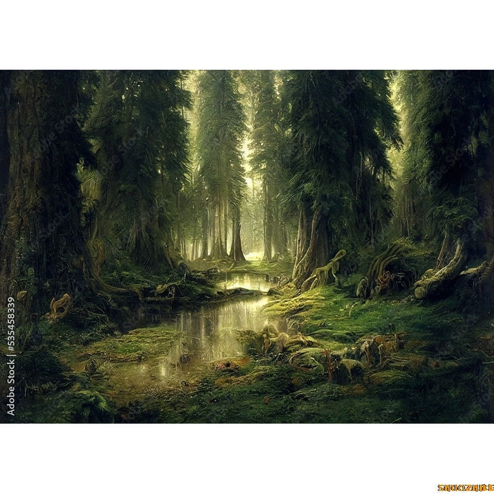 Tropical Rainforest Coniferous Forest Moss Fall Tree Photography ...