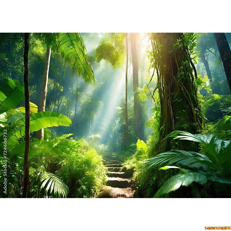 Tropical Rainforest Coniferous Forest Moss Fall Tree Photography ...