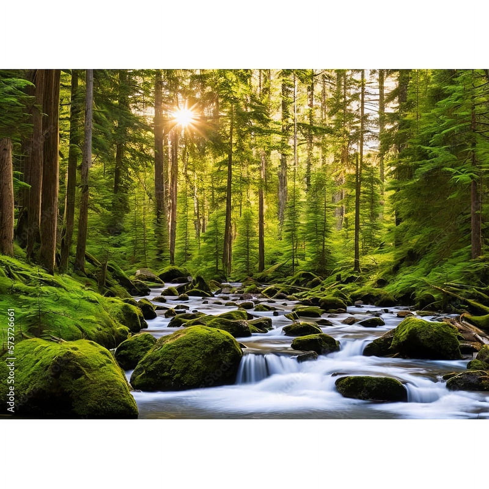 Tropical Rainforest Coniferous Forest Moss Fallen Tree Photography ...