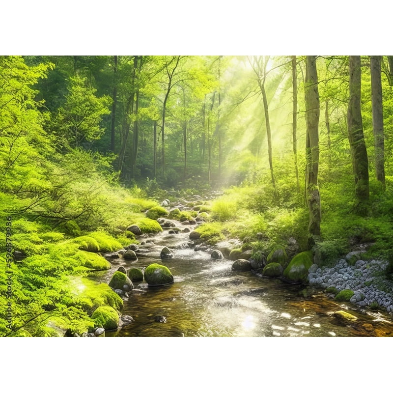 Tropical Rainforest Coniferous Forest Moss Fallen Tree Photography ...