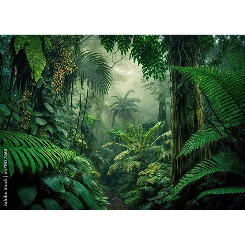 Tropical Rainforest Coniferous Forest Moss Fallen Tree Photography ...