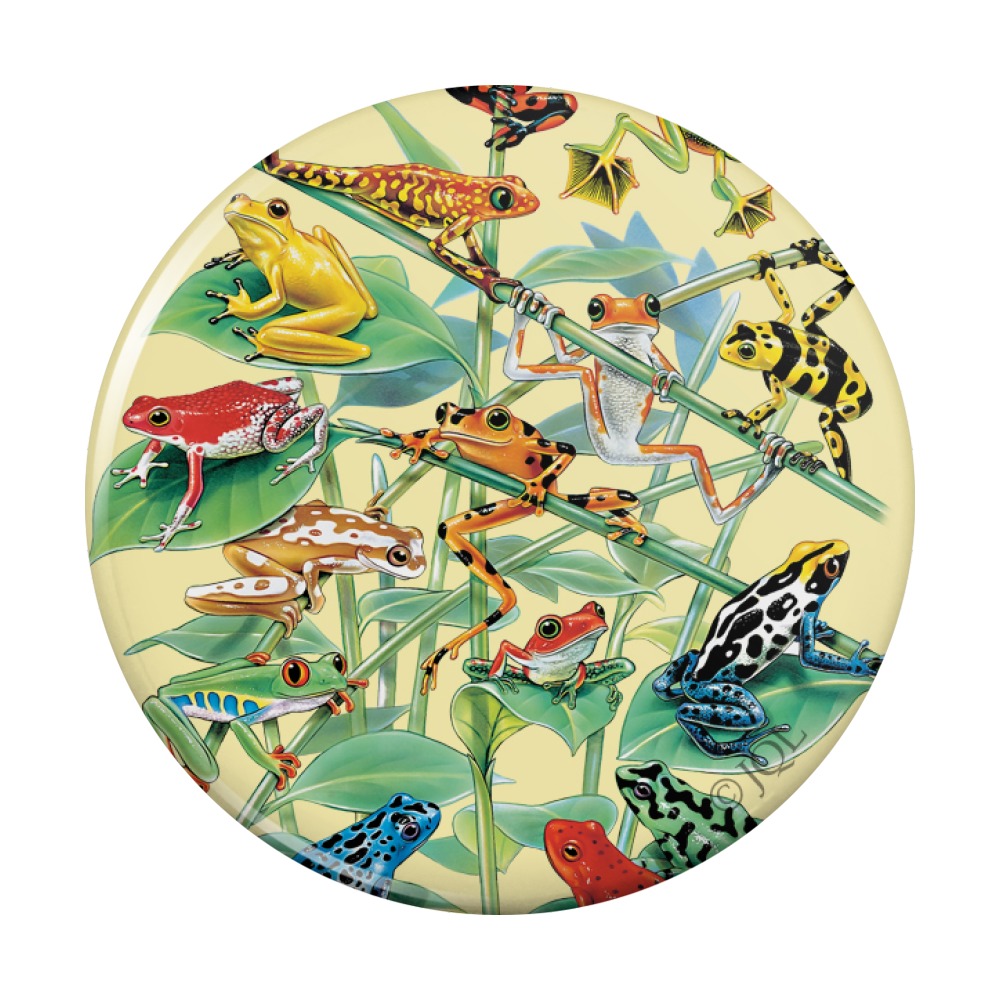 Tropical Rainforest Frogs Froggies Dart Kitchen Refrigerator Locker ...